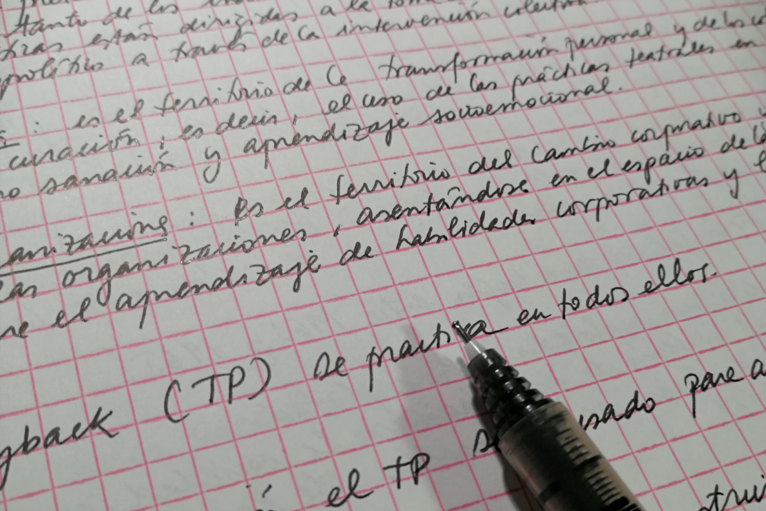 Framework - Somatic Landscape