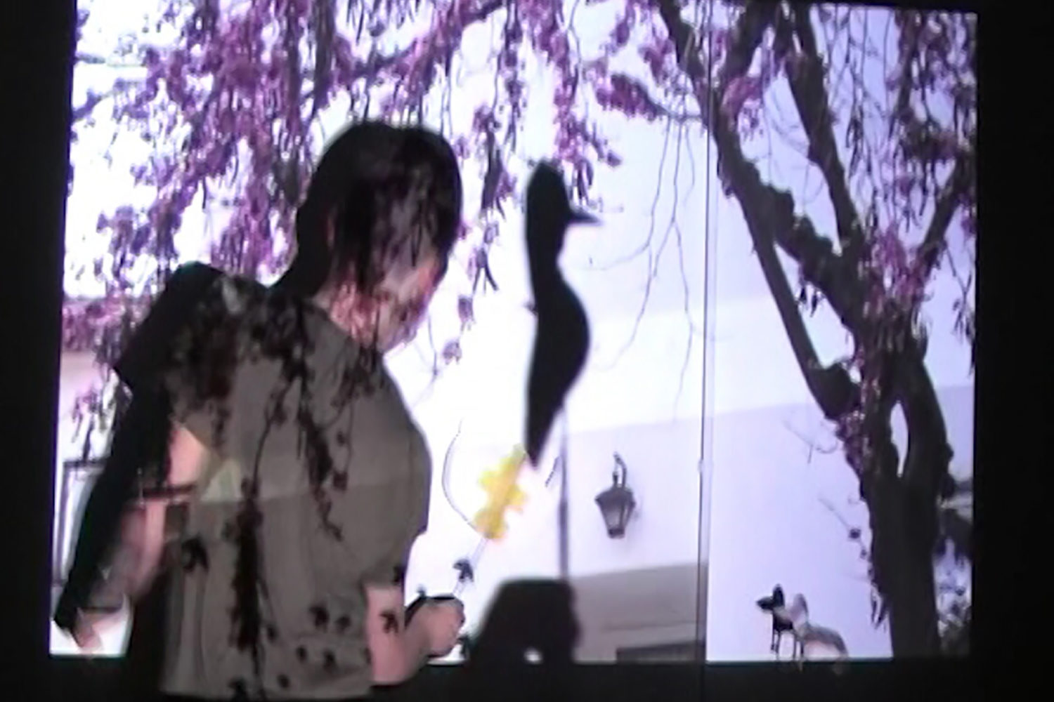 Framework - Somatic Landscape